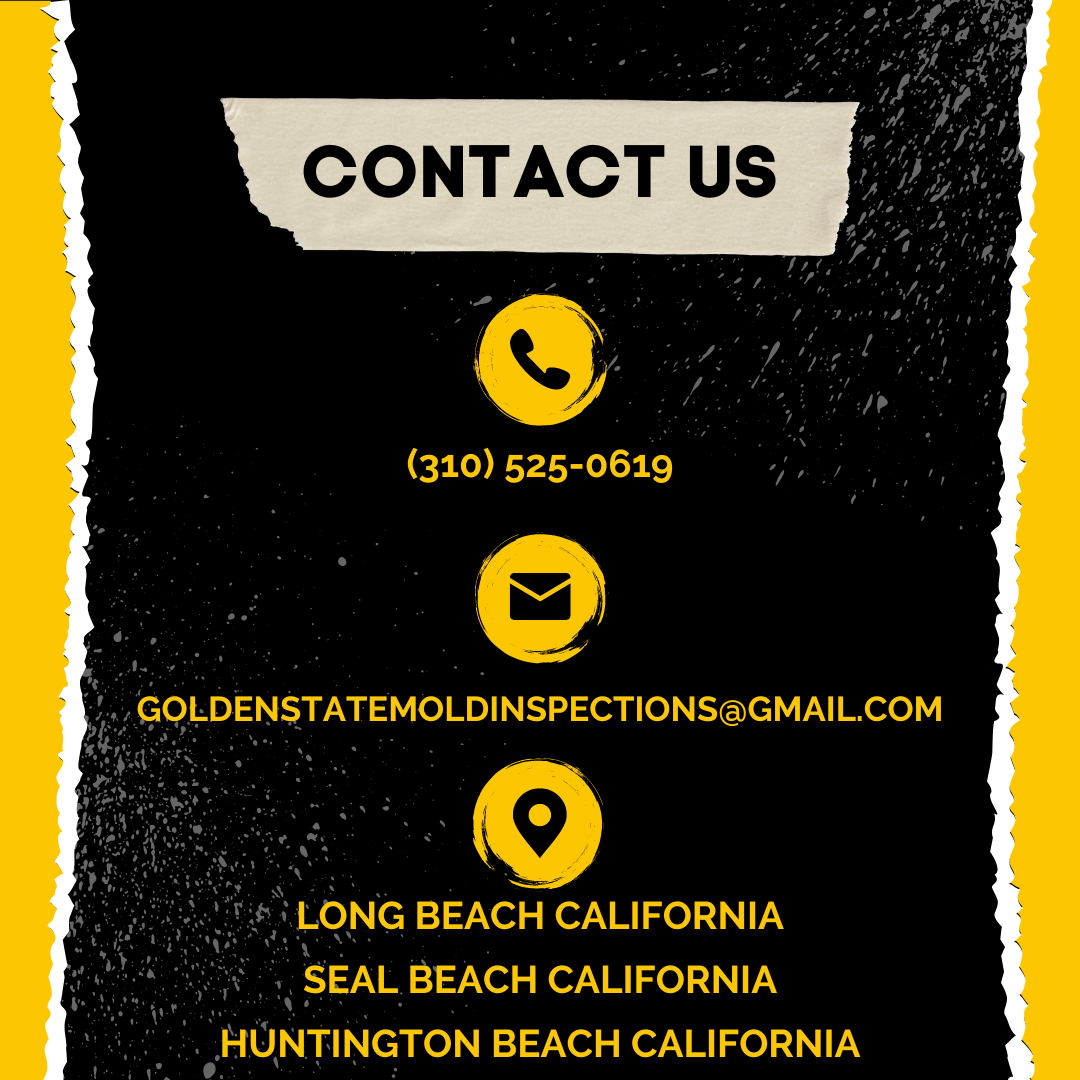 Mold Inspections Long Beach | Golden State Mold Inspections | 310-525-0619